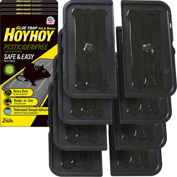 HOY HOY Rat & Mouse Regular Size Glue Trap 4-Packs (8 traps) - HOY HOY USA